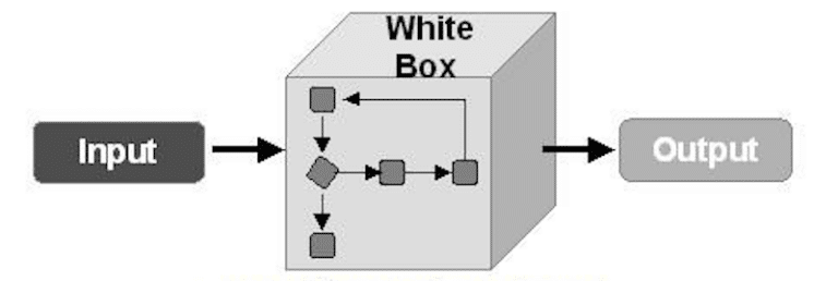 Black Box Vs White Box Testing | PractiTest